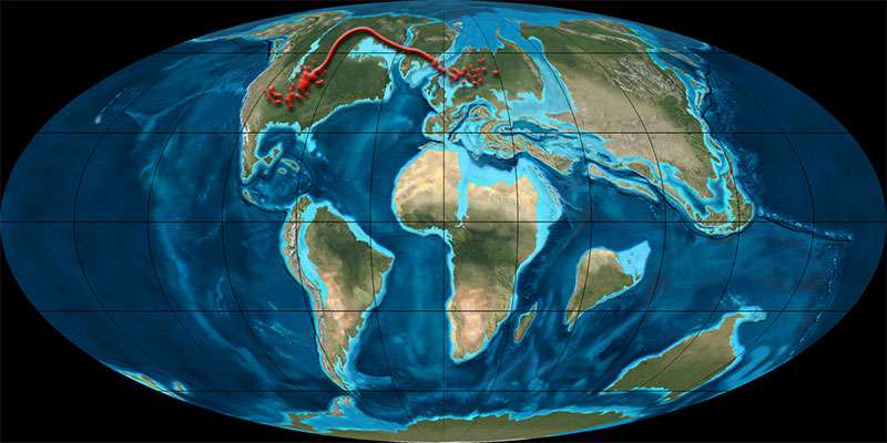 Die ersten echten Primaten